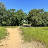 Mormon Island Browns Ravine Trail, California - 382 Reviews, Map ...