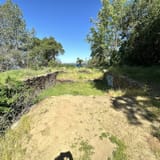 Mormon Island Browns Ravine Trail, California - 382 Reviews, Map ...