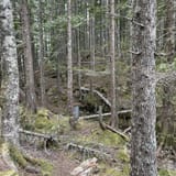 Lake Isabel Trail #1080, Washington - 360 Reviews, Map | AllTrails