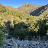 Barnhardt Trail, Arizona - 385 Reviews, Map | AllTrails