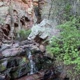 Barnhardt Trail, Arizona - 378 Reviews, Map | AllTrails