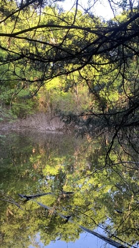 Best Hikes and Trails in Erwin Municipal Park | AllTrails