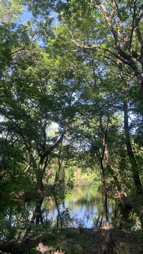 Best Hikes and Trails in Erwin Municipal Park | AllTrails