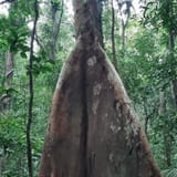 Pinagbanderahan via Bitukang Manok, Quezon, Philippines - 2 Reviews ...