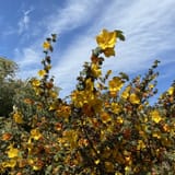 Presidio Loop Trail, California - 1,265 Reviews, Map | AllTrails