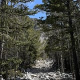 Lake Como, Colorado - 299 Reviews, Map | AllTrails