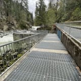 Granite Falls (Fish Ladder) Trail, Washington - 527 Reviews, Map ...