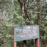 Granite Falls (Fish Ladder) Trail, Washington - 579 Reviews, Map ...