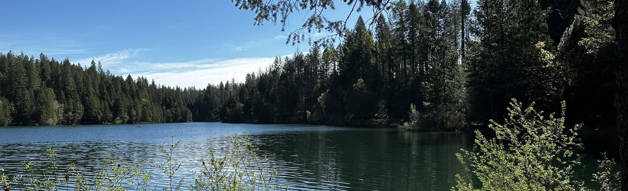 Paradise Lake, California - 114 Reviews, Map | AllTrails
