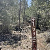 Pine Mountain Loop Trail, Arizona - 25 Reviews, Map | AllTrails