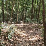 Youth Park - Astro Rock, Penang, Malaysia - 23 Reviews, Map | AllTrails