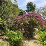 Youth Park - Astro Rock, Penang, Malaysia - 23 Reviews, Map | AllTrails