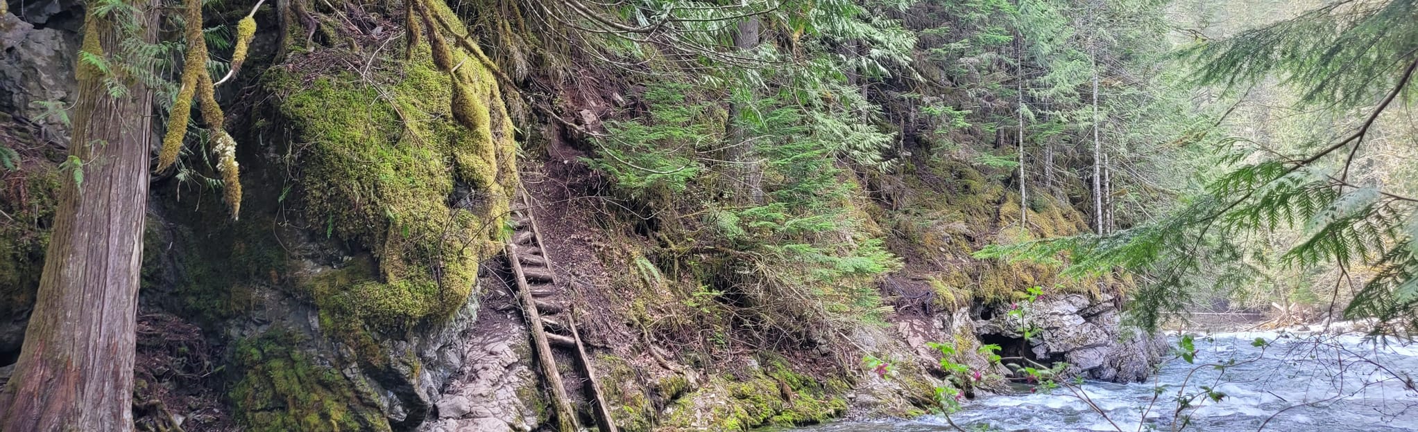 Chipmunk Caves Trail: 38 Reviews, Map - British Columbia, Canada ...