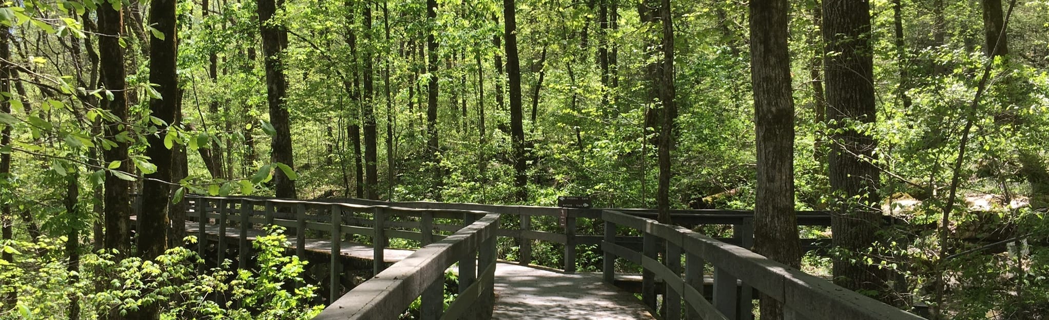 Russell Cave Trail, Alabama - 113 Reviews, Map | AllTrails