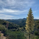 Sweetwater River Loop Trail, California - 439 Reviews, Map | AllTrails