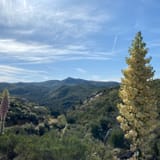Sweetwater River Loop Trail, California - 439 Reviews, Map | AllTrails