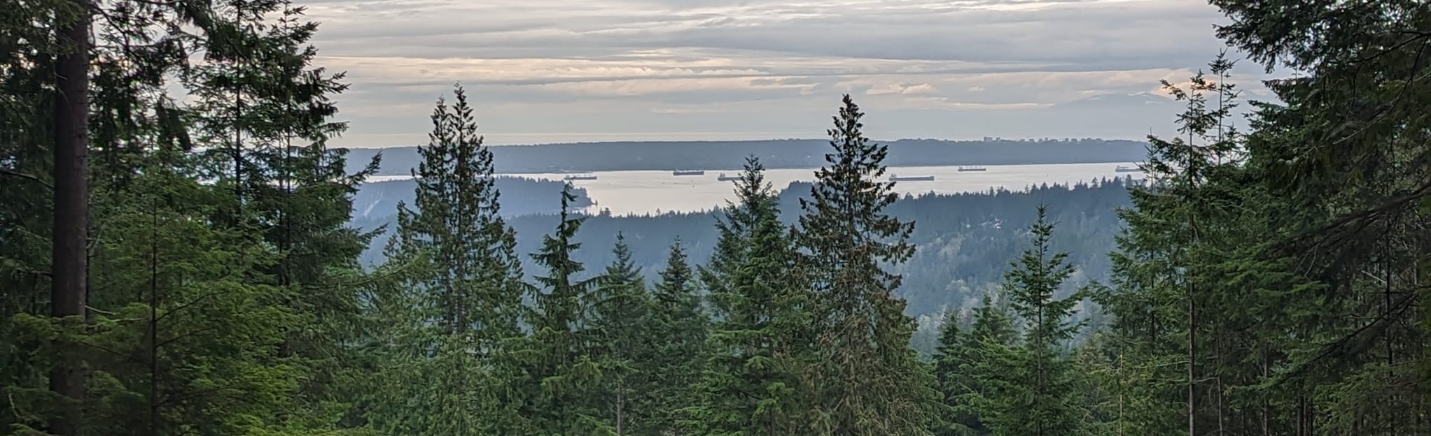 AllTrails | Old BCMC Trail Loop: 51 Reviews, Map - British Columbia, Canada