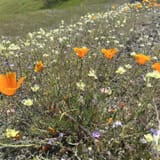 Kelly Lake Loop: Jim Donnelly and Grizzly Gulch Trails, California - 78 ...