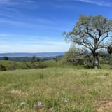 Kelly Lake Loop: Jim Donnelly and Grizzly Gulch Trails, California - 78 ...