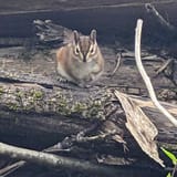 Ledgeview Extended Loop, British Columbia, Canada - 168 Reviews, Map ...