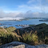 Bridle Path Walk to Summit Road Viewpoint, Canterbury, New Zealand ...