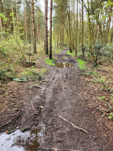 Best Hikes and Trails in Oxclose Wood | AllTrails