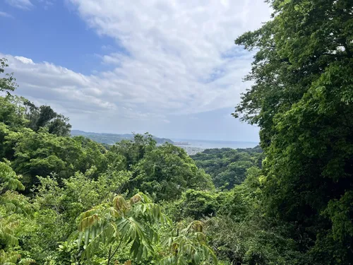 10 Best Trails and Hikes in Kamakura | AllTrails