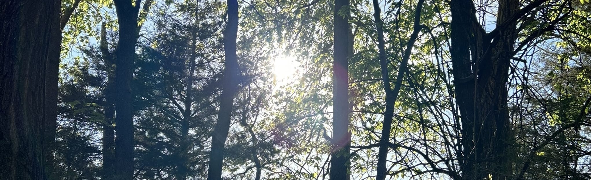 Cheney Trail To Goldfish Pond, Kansas - 29 Reviews, Map | AllTrails