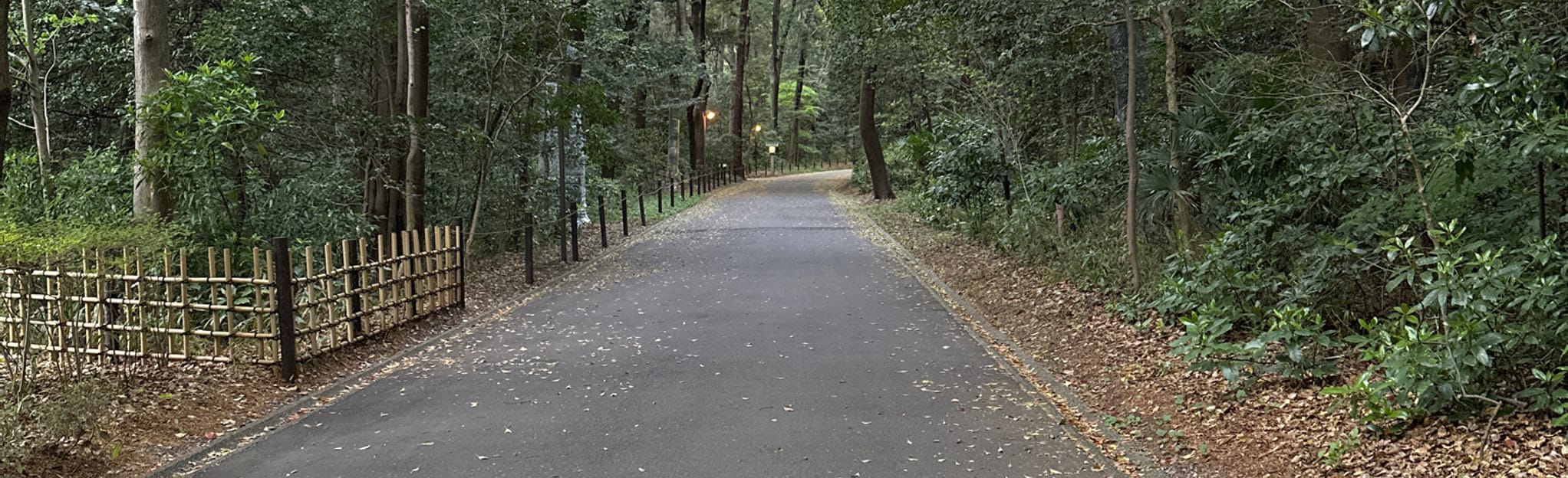 Meiji Jingu Shrine, Tokyo, Japan - 14 Reviews, Map | AllTrails