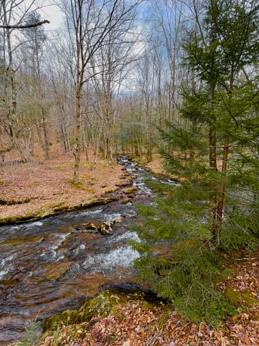 2023 Best trails in Circleville | AllTrails