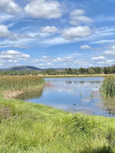 Best Views Trails in Jerrabomberra Wetlands Nature Reserve | AllTrails