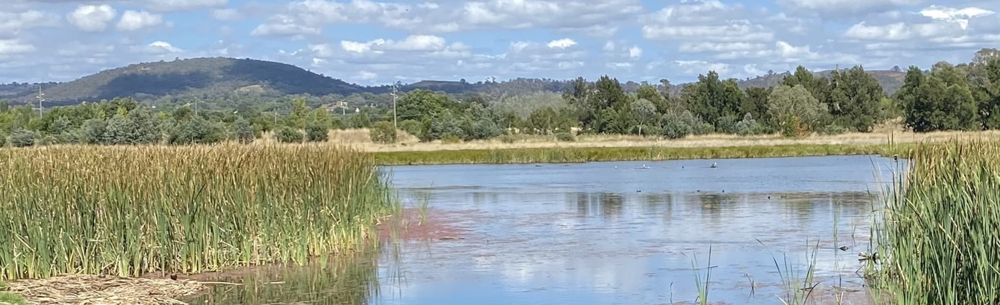 Jerrabomberra Wetlands Walk, Australian Capital Territory, Australia ...
