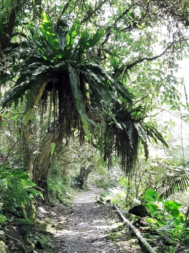 Best Hikes and Trails in Fuyuan National Forest Recreation Area | AllTrails