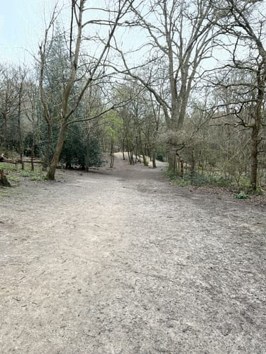 2023 Best River Trails in Esher Common | AllTrails