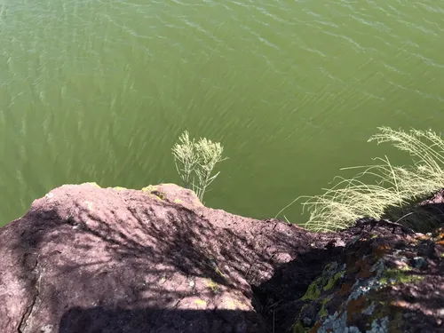 2023 Best Paddle Sports Trails in Rio Rico | AllTrails