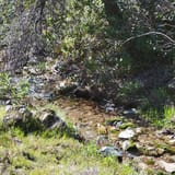 Wintu Loop, California - 235 Reviews, Map | AllTrails
