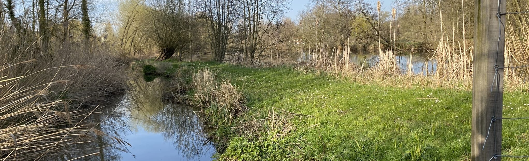 Lasne - Limauges: 13 Reviews, Map - Walloon Brabant, Belgium | AllTrails