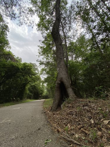 Best Hikes and Trails in Carter Park | AllTrails