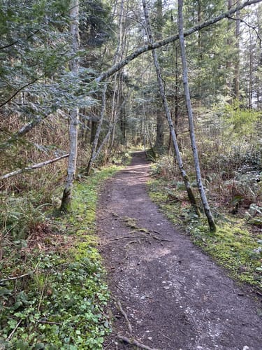 2023 Best trails in Cama Beach State Park | AllTrails