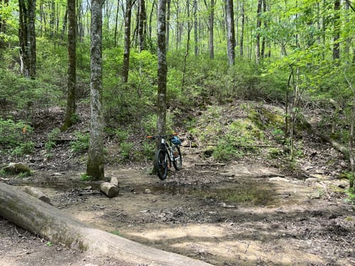 Best Hikes and Trails in Chapman Mountain Nature Preserve | AllTrails