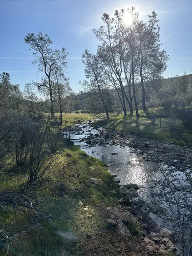 Best Hikes and Trails in Red Hills Recreation Management Area | AllTrails