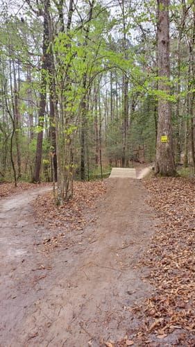 Best Hikes and Trails in Big Branch Bike Park | AllTrails