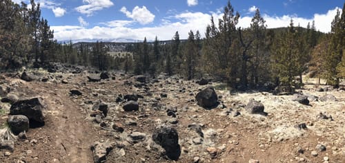 Best Hikes and Trails in Susanville Ranch Park | AllTrails