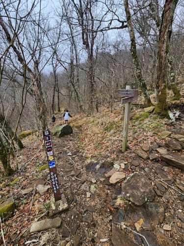 Best Hikes and Trails in Fox Valley Park | AllTrails