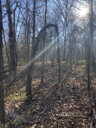 Best Hikes and Trails in Fort Crowder Conservation Area | AllTrails