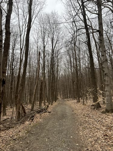 Best Hikes and Trails in Kennedy Park | AllTrails