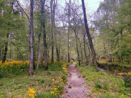 Best Hikes and Trails in The Ridge Nature Area | AllTrails