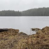 Ward Lake Trail, Alaska - 137 Reviews, Map | AllTrails