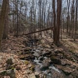 Scar Run Trail, Pennsylvania - 16 Reviews, Map | AllTrails