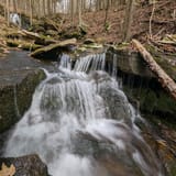 Scar Run Trail, Pennsylvania - 16 Reviews, Map | AllTrails